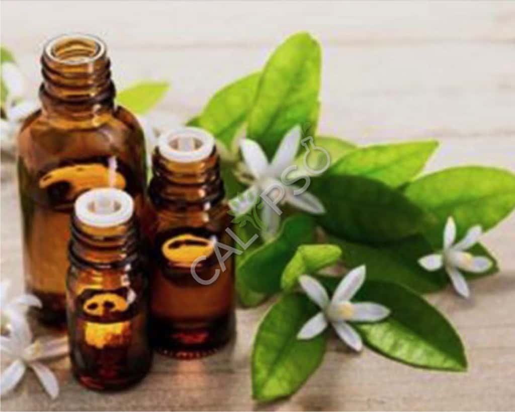 Orange Blossom Floral Absolute Oil Distributor & Producer in India.